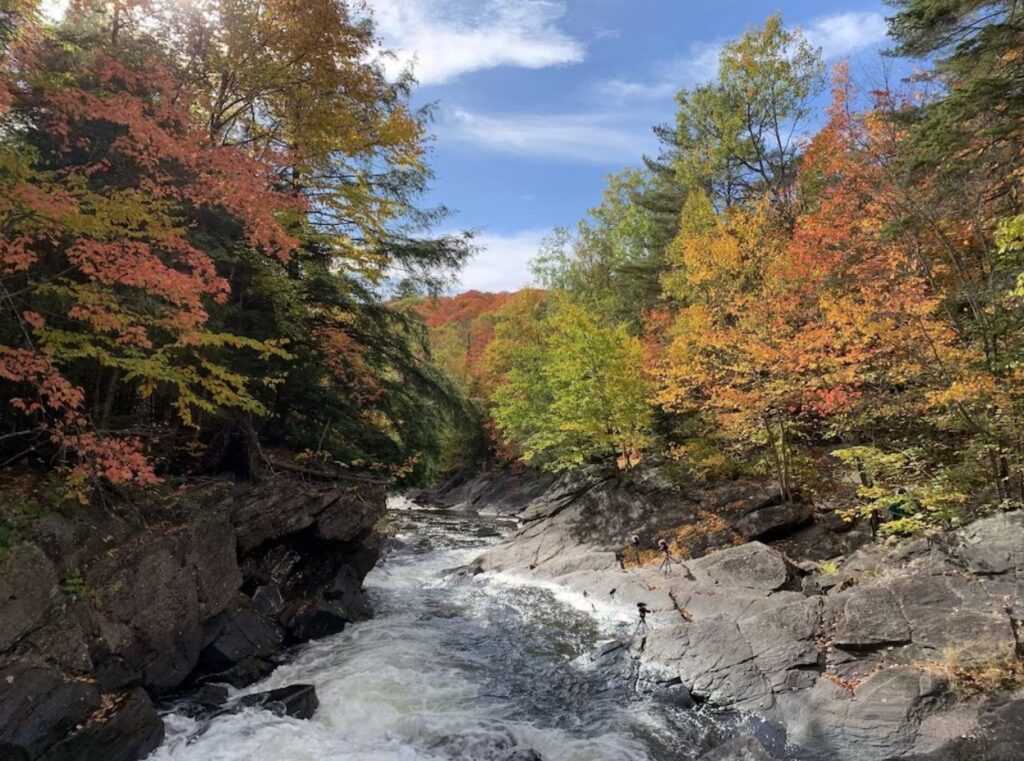 Activities - Welcome